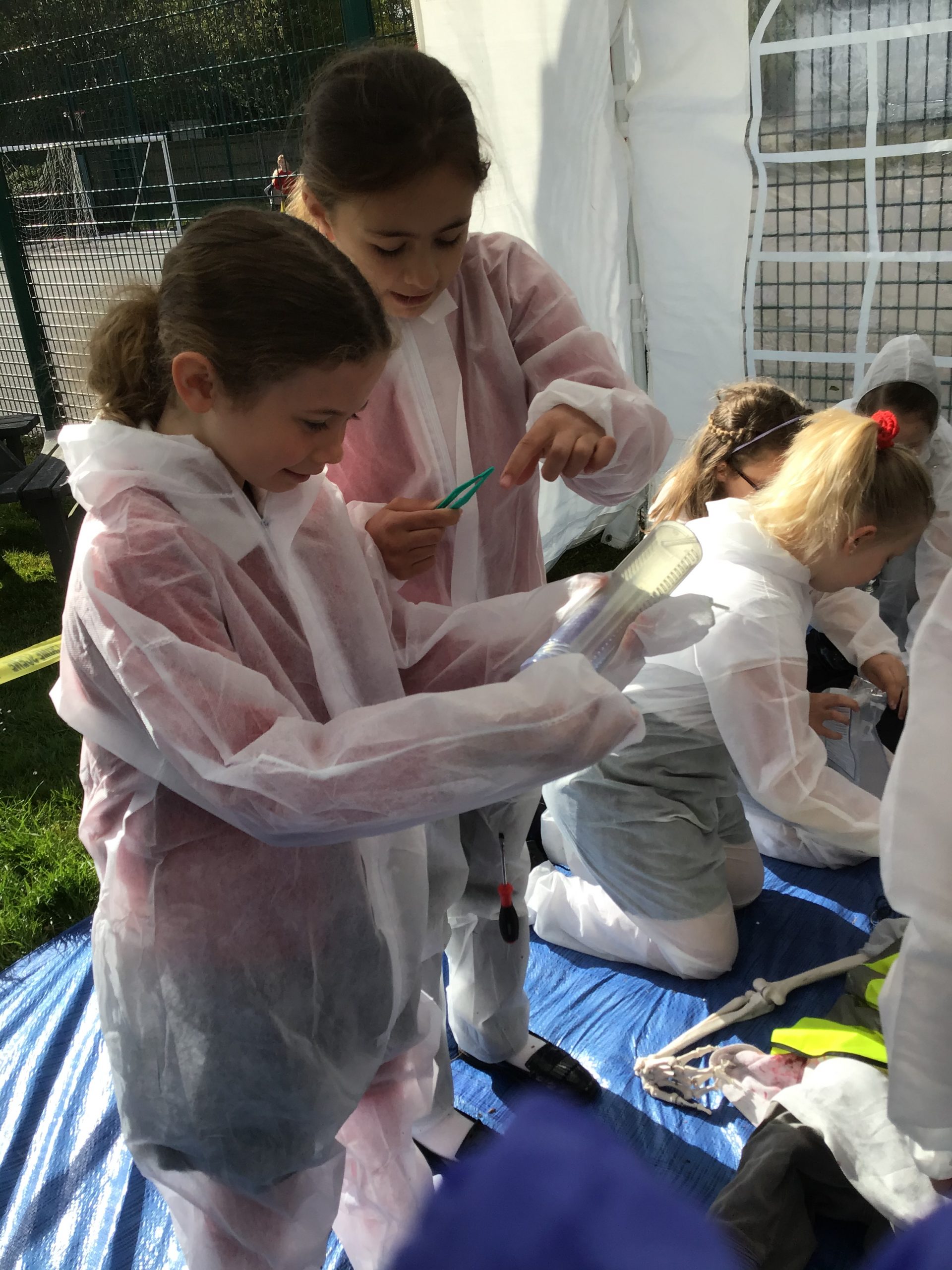 Year 5 Detective Project – Shamblehurst Primary School